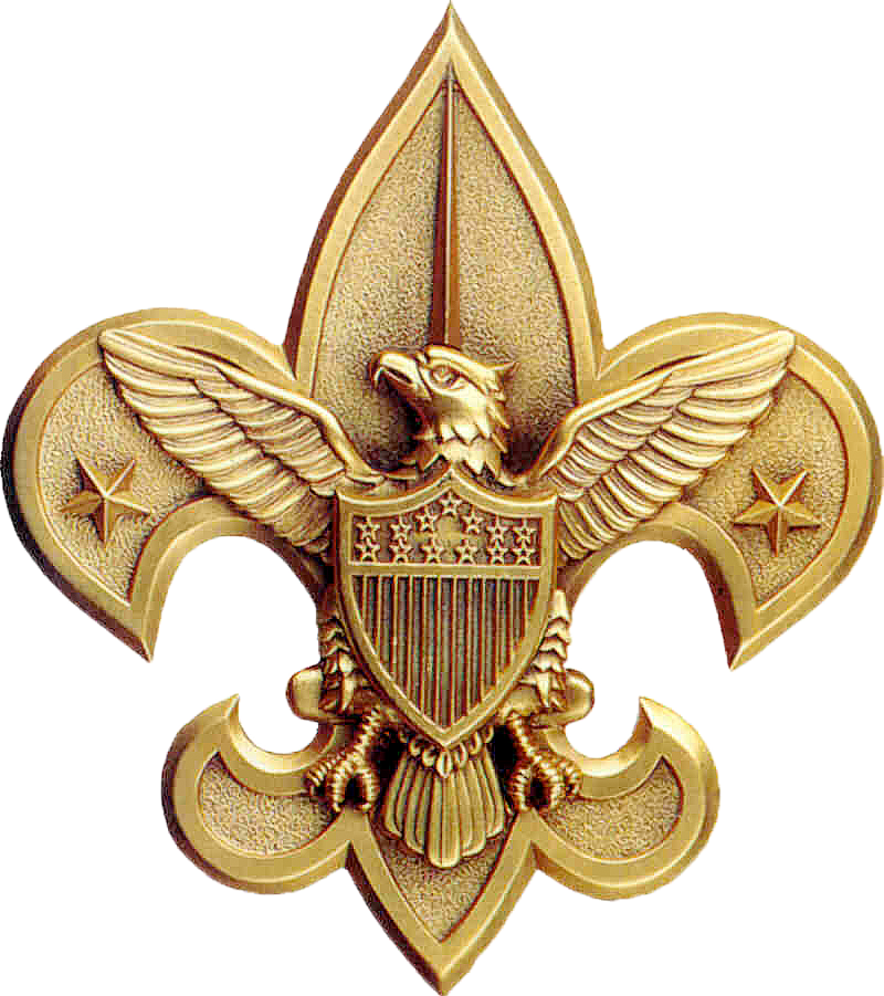 Boy Scout Symbol Png For Kids (800x901), Png Download