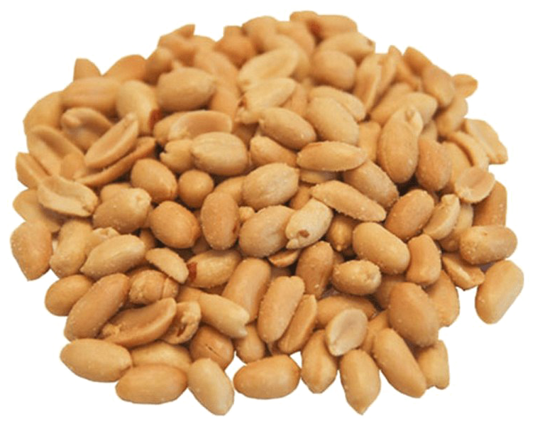 Download Peanut Transparent Png - Peanut | Transparent PNG Download ...