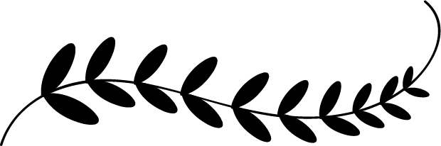 Download Hand Drawn Cute Doodle Banner Transparent Stock - Doodle Text ...