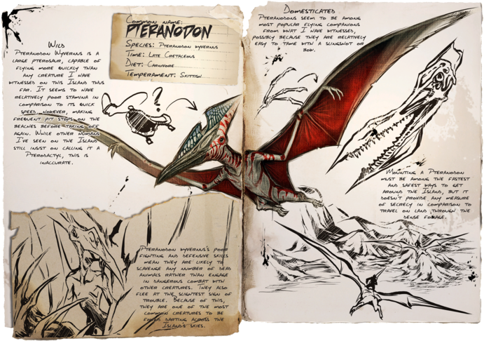 Pteranodon (800x532), Png Download