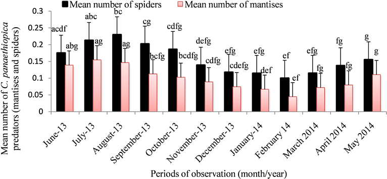 Stink Lines Png (903x357), Png Download