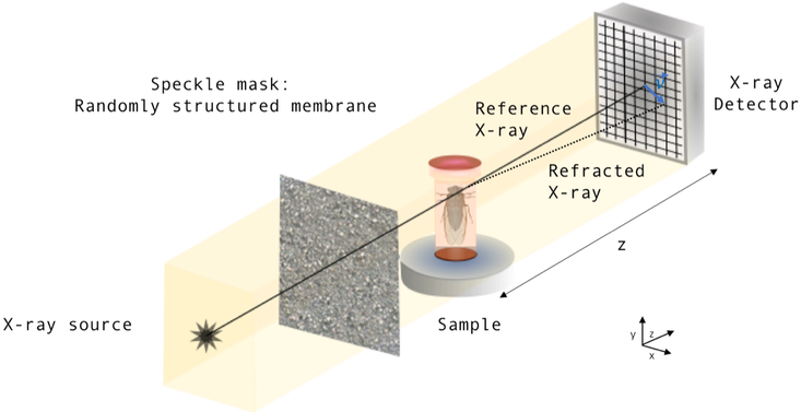 Generic Setup For X-ray Speckle Tracking (750x524), Png Download