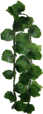 Artificial Green Hanging Vine Leaves - Hanging Leaves Transparent ...