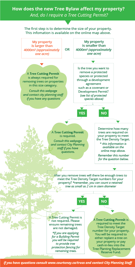 Questions - - Tree (521x1029), Png Download