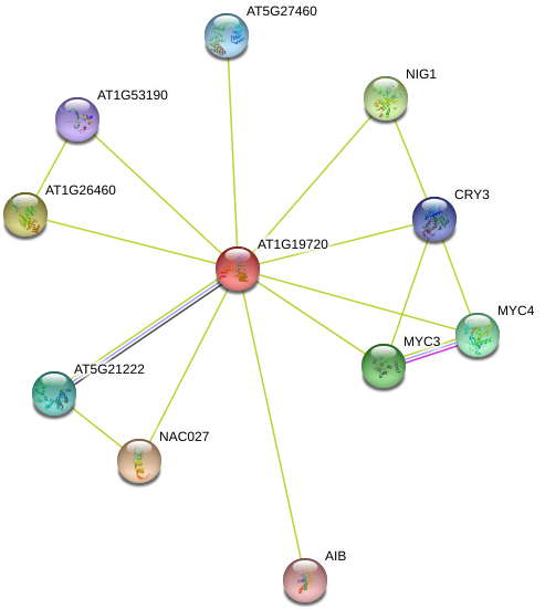 Network (976x588), Png Download