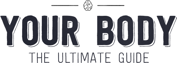 From Trump's Comb-over To The Bieber Pompadour, The - Product (598x220 ...