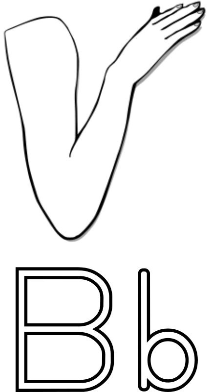 Brazo Png (436x800), Png Download