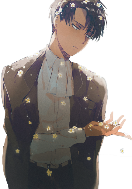 Levi Png (500x618), Png Download