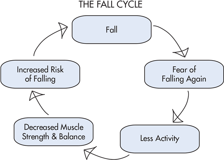 Falls Are Commonly Cited As A Contributing Reason For - Diagram ...