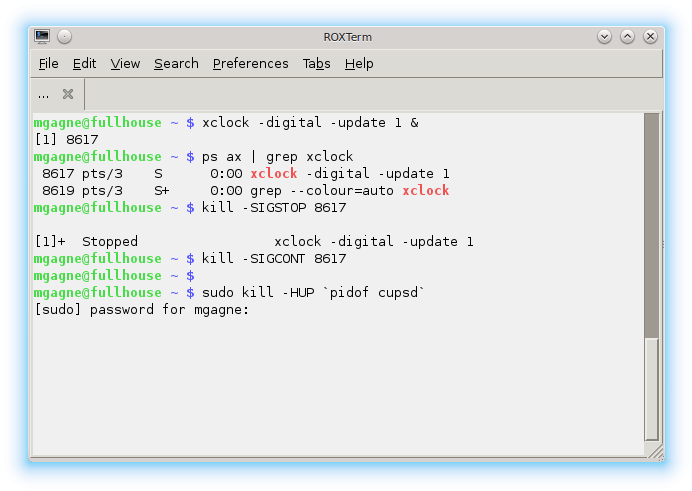 Roxterm Killproc (717x516), Png Download