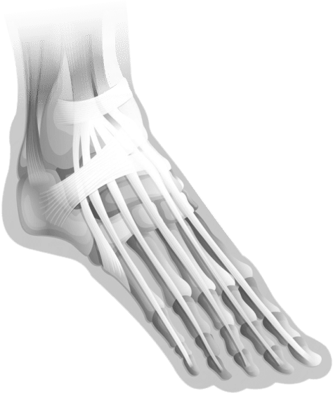 Welcome To Hadfield Foot And Ankle Dr (1130x561), Png Download