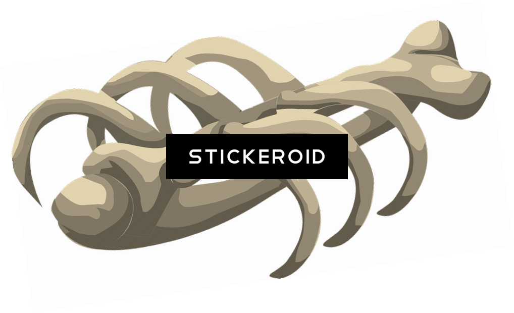 Download Bones | Transparent PNG Download | SeekPNG