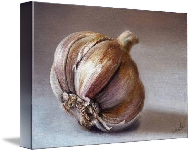 "classic Still Life Garlic Painting" By Przemysław - Garlic Painting ...