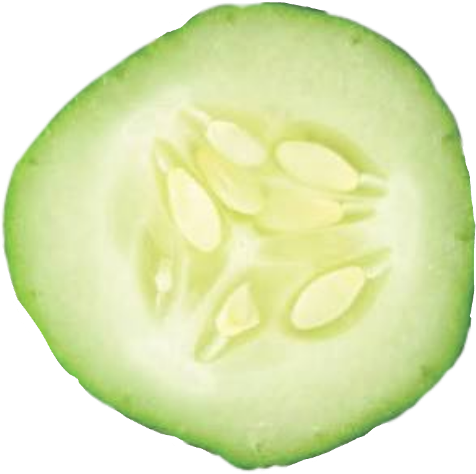 Pepino Sticker - Cucumber (1024x1360), Png Download