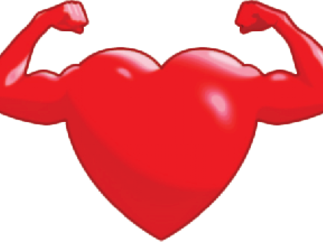 Organs Clipart Heart Muscle - Strong Heart (640x480), Png Download