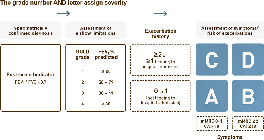 Download The 2018 Abcd Assessment Tool - Gold Abcd Assessment Tool ...