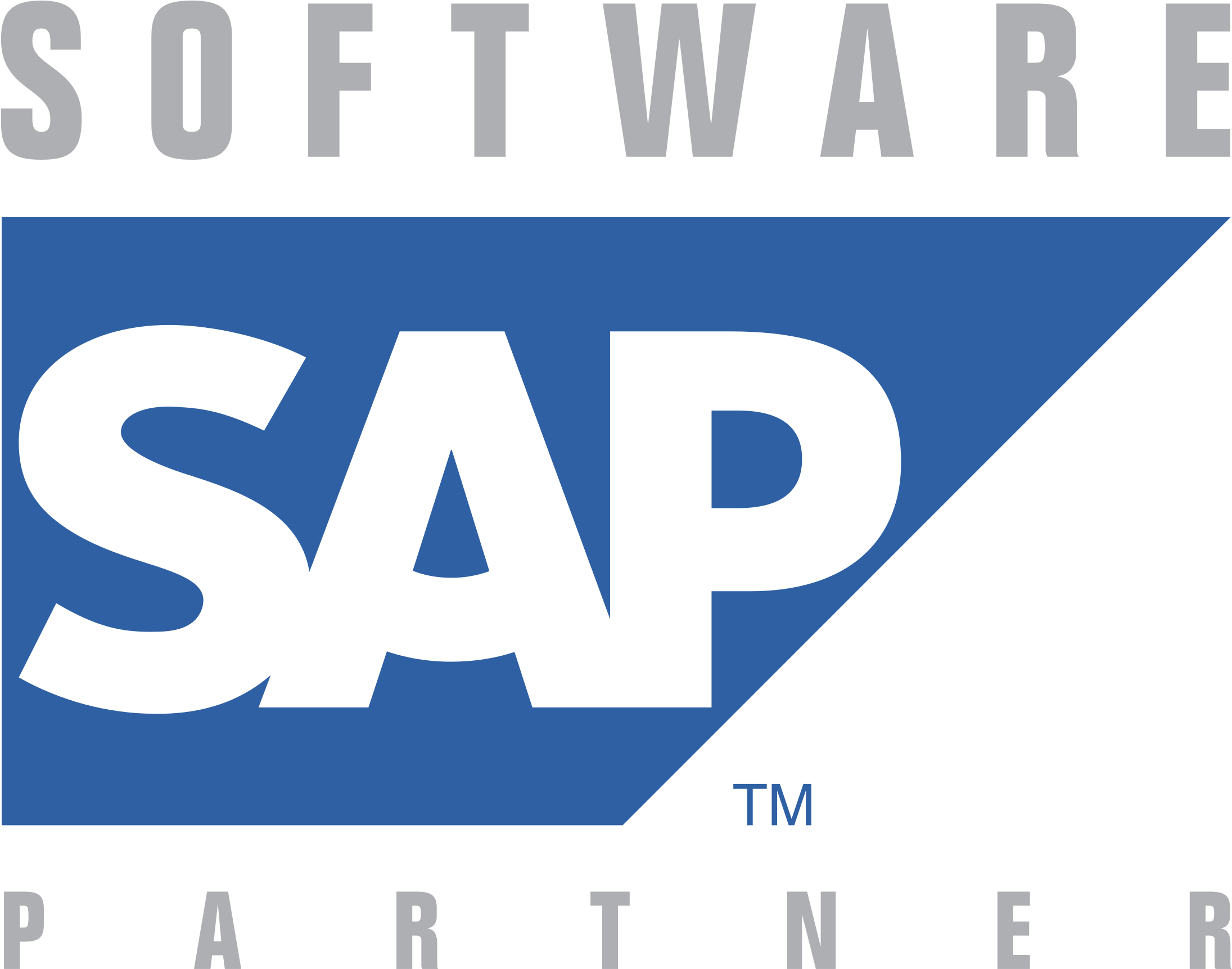 Sap Software Partner Logo Png Transparent - Sap Education Partner Logo ...