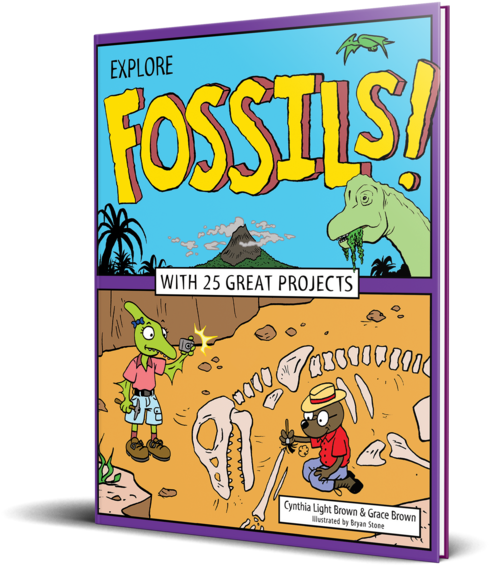 Download Explorefossils 3d - Fossils Explore | Transparent PNG Download ...