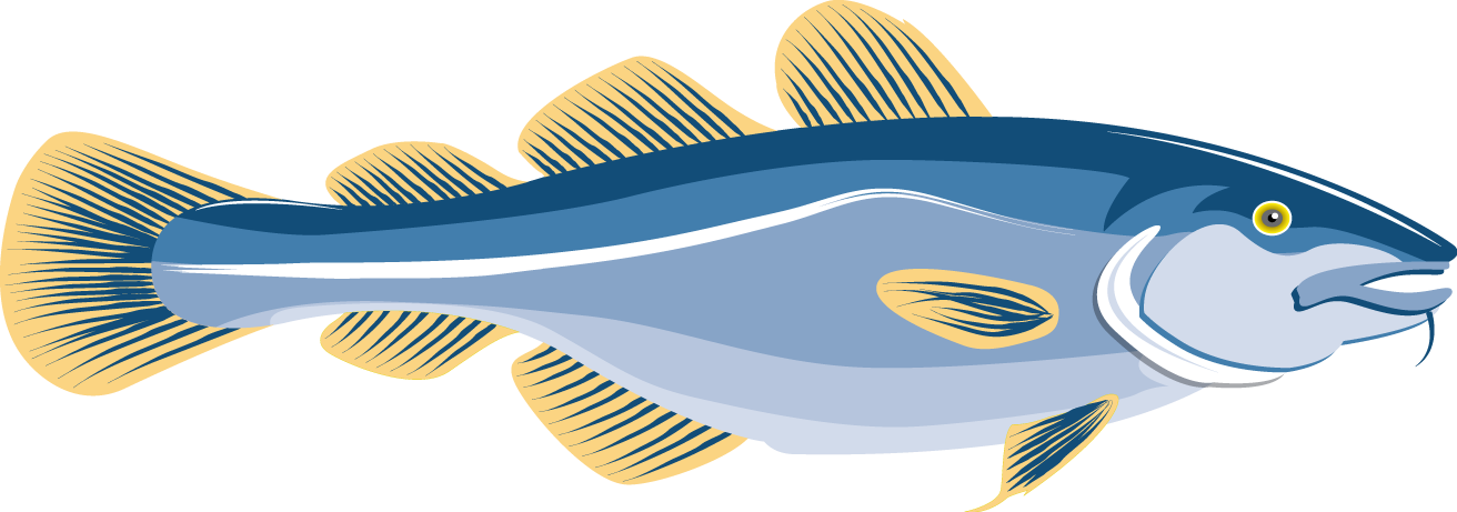 Cod Fish Clipart At Getdrawings (1312x461), Png Download