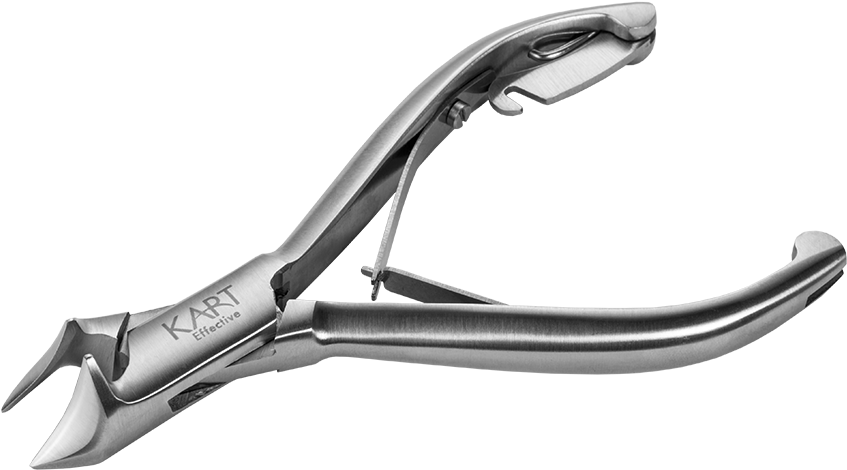 Nipper (900x900), Png Download