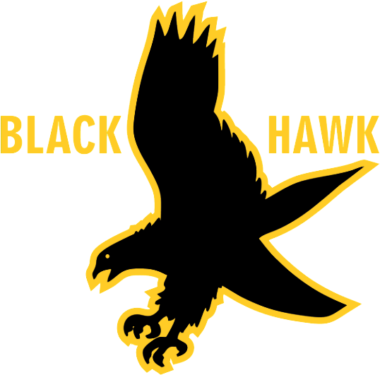 Download Black Hawk - - Hawk | Transparent PNG Download | SeekPNG