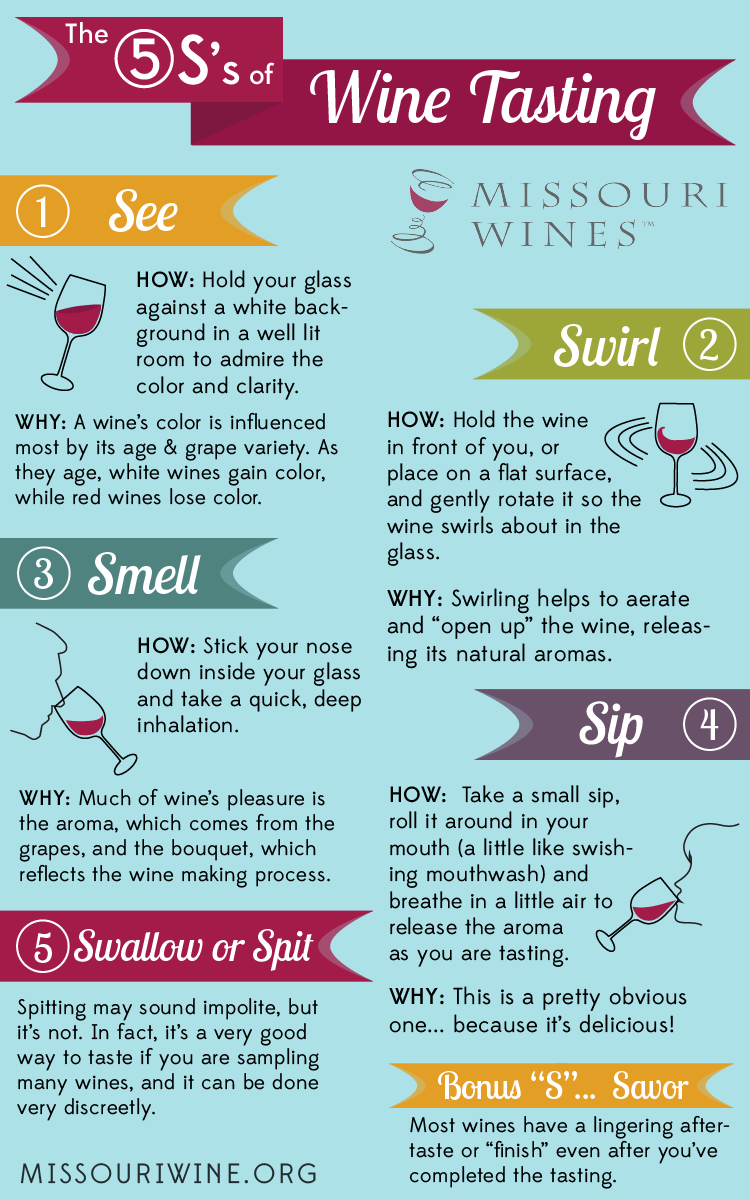 The - 5 S's Of Wine Tasting (750x1200), Png Download