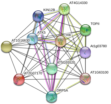 Circle (976x405), Png Download