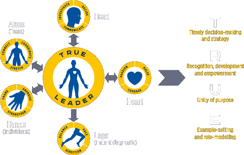 How We Work Diagram1 - Circle (842x538), Png Download