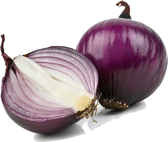 Download Red Onion | Transparent PNG Download | SeekPNG