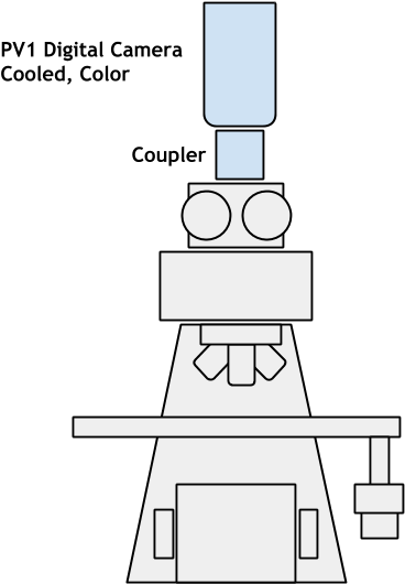 Gray Items Are Already - Cartoon (672x549), Png Download