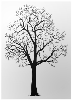 Vector Black Silhouette Of A Bare Tree Poster • Pixers® - Bare Trees ...