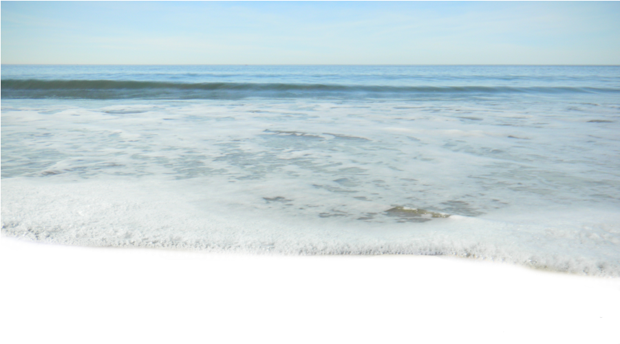 Download Beach Shore - Seashore Png | Transparent PNG Download | SeekPNG