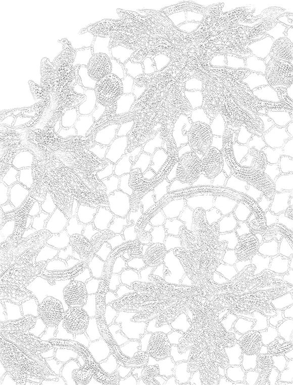 Download Displacement Image - Transparent Lace Texture | Transparent ...