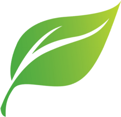 Download Cartoon Leaf | Transparent PNG Download | SeekPNG