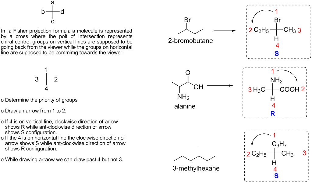 In A Fisher Projection Formula A Molecule Is Represented - Diagram ...