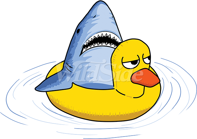 Shark With Duck Floatie (675x675), Png Download