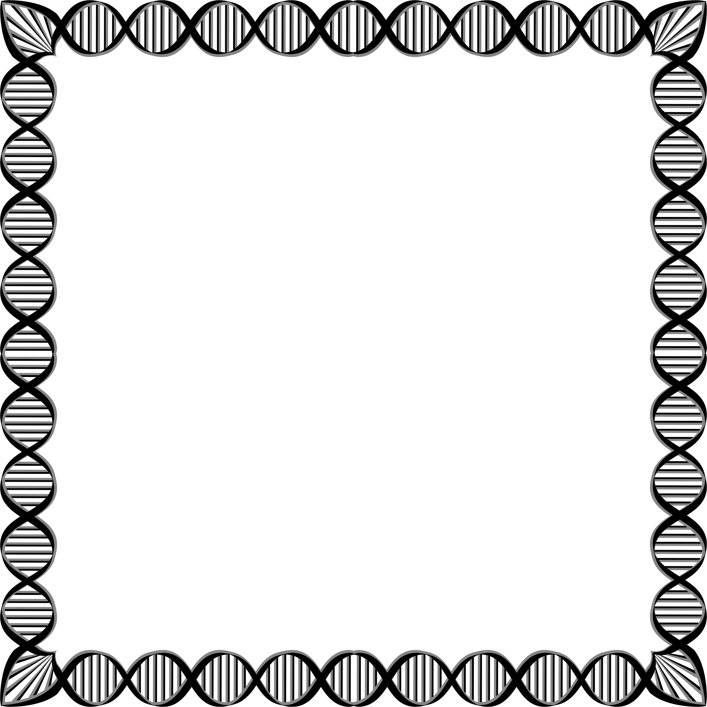 Download Transparent Square Border Clip Art - Biology Clipart Dna ...