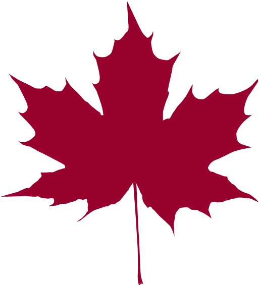 Maple Leaf - Maple Leaf Silhouette (1200x600), Png Download