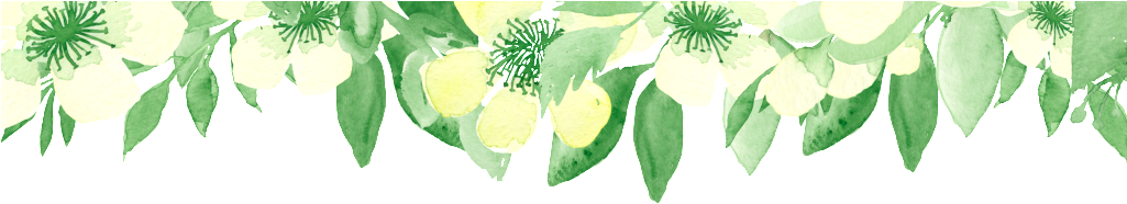Cartoon Flower Transparent (1024x662), Png Download