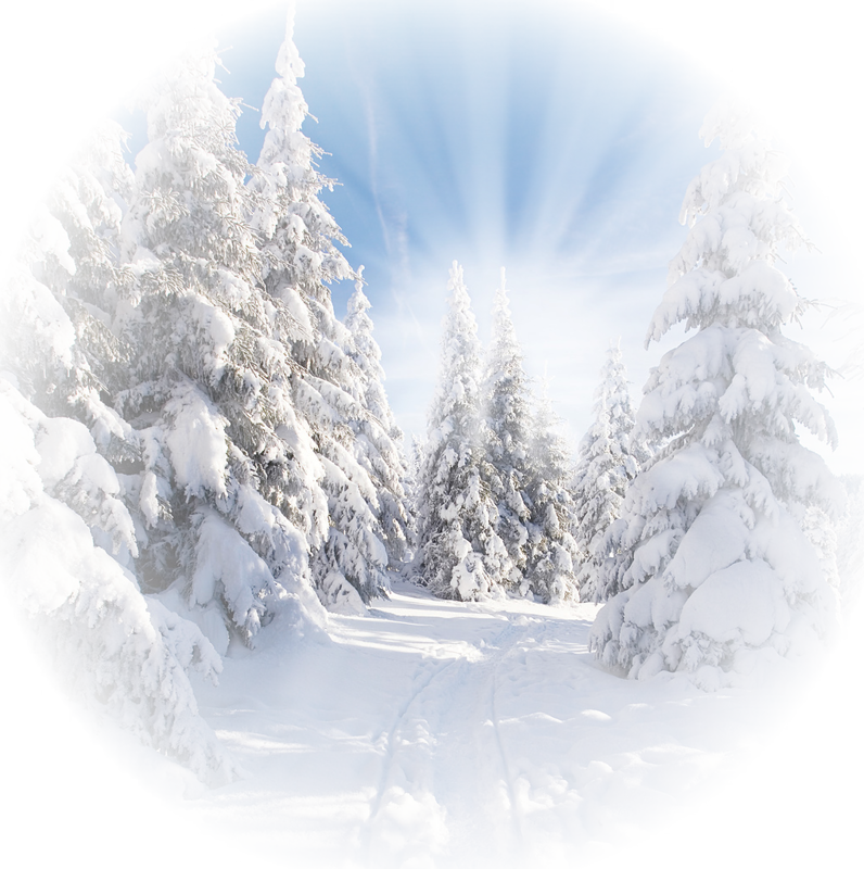 Download Winter Backgrounds - Winter | Transparent PNG Download | SeekPNG