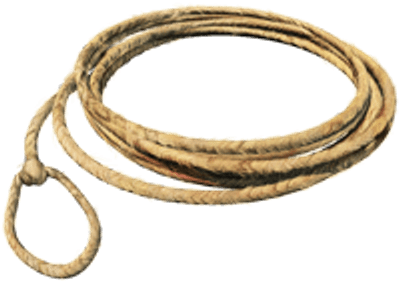 Download Lasso Png | Transparent PNG Download | SeekPNG