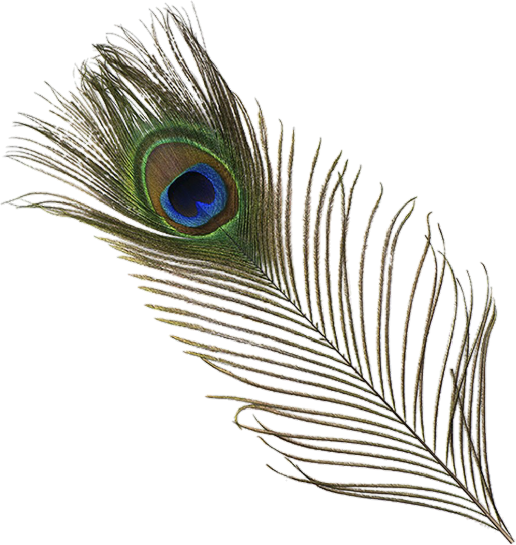 Origftesticker Sticker - Mor Pankh (1024x1082), Png Download