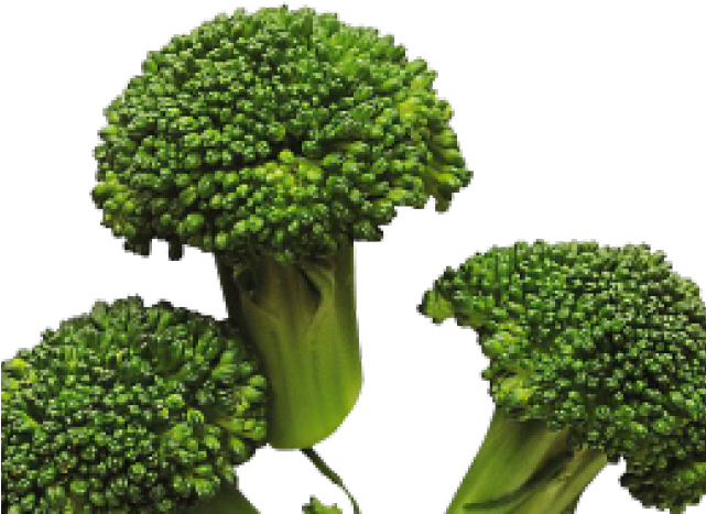 Download Broccoli Png Transparent Images - Transparent Png Broccoli ...