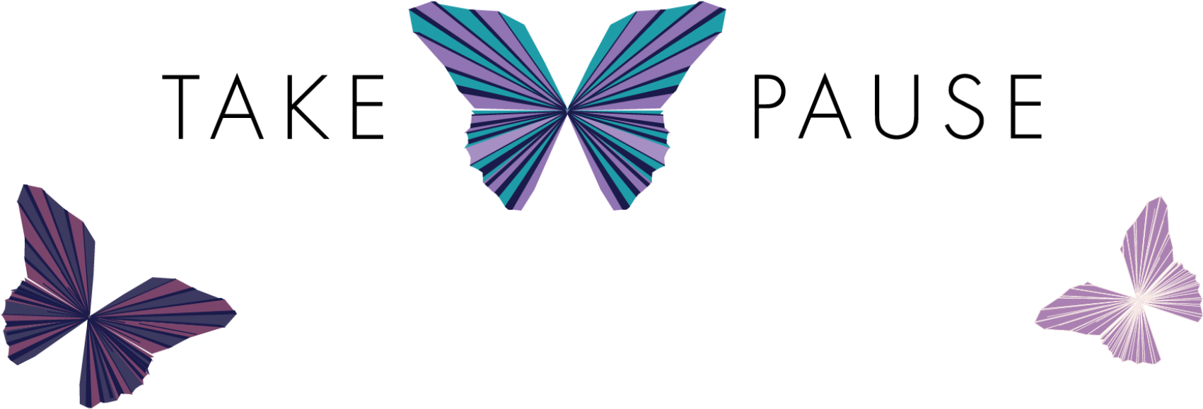 Take-pause - Riodinidae (1920x991), Png Download