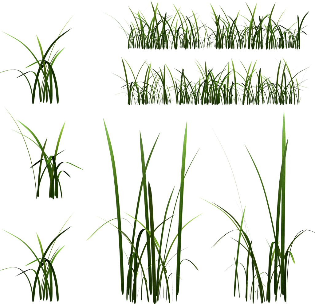 2d Grass Blade Texture - High Grass Texture Transparent (1024x1024 ...