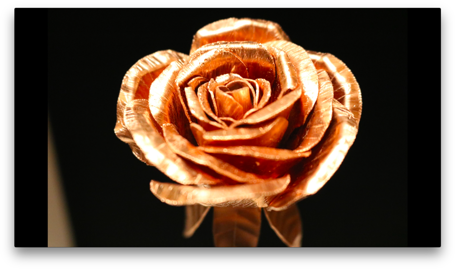 How To Make A Copper Flower - Floribunda (1552x922), Png Download