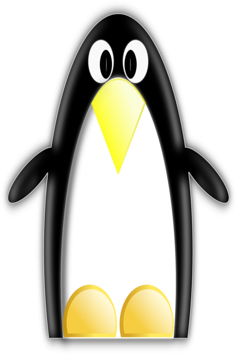 Vector Graphics - Linux (500x765), Png Download