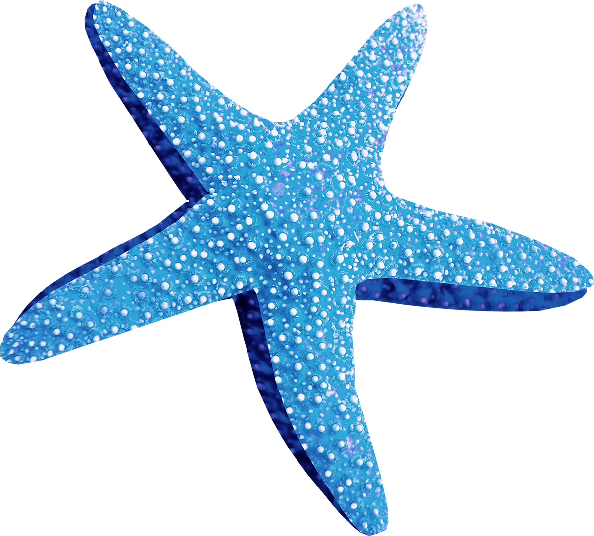 Download Blue Starfish Png Blue Starfish Png - Морская Звезда Пнг ...