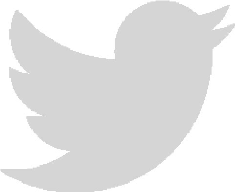 Twitter Logo Gray Png (480x480), Png Download