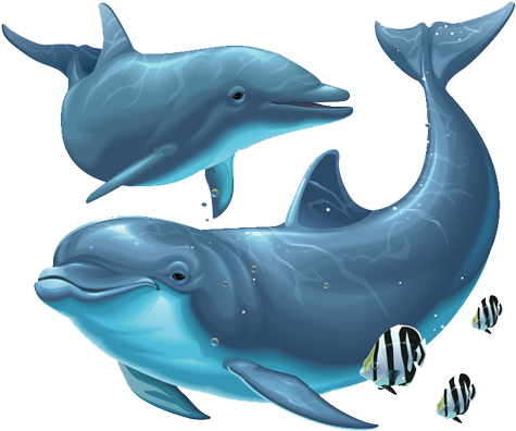 Download Dolphin Png File - Under The Sea Dolphin | Transparent PNG ...